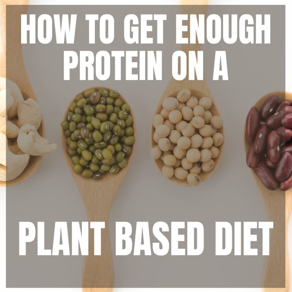 Easy Plant-Based Meals For Busy Nights Under 30-Minutes | Organizing A ...