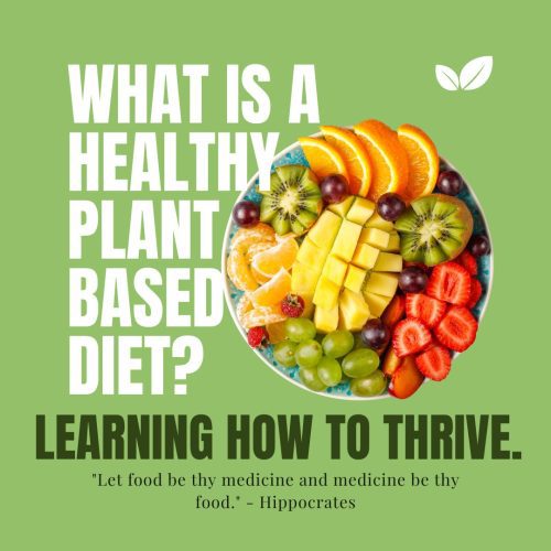 What is a Healthy Plant-Based Diet? Learning How To Thrive.